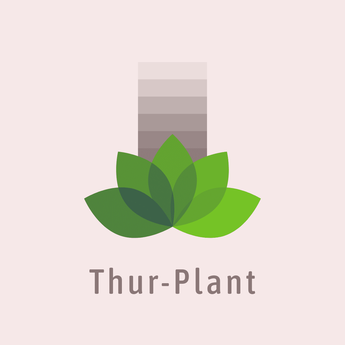Mediterrane Pflanzen online kaufen | Onlineshop Thur-Plant